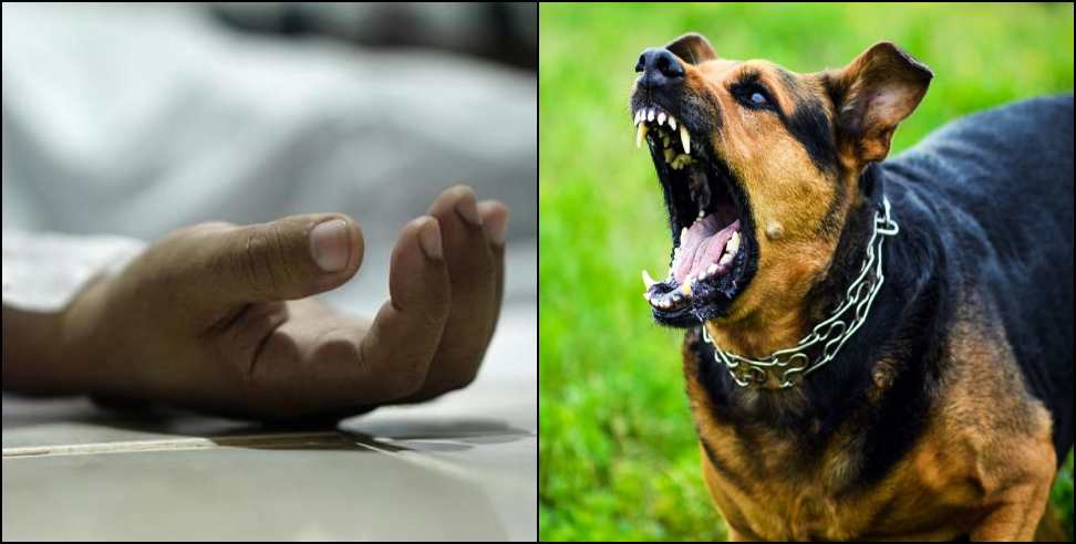 30 Year Old Youth Dies Of Rabies In Dehradun. देहरादून: रेबीज से तड़प ...